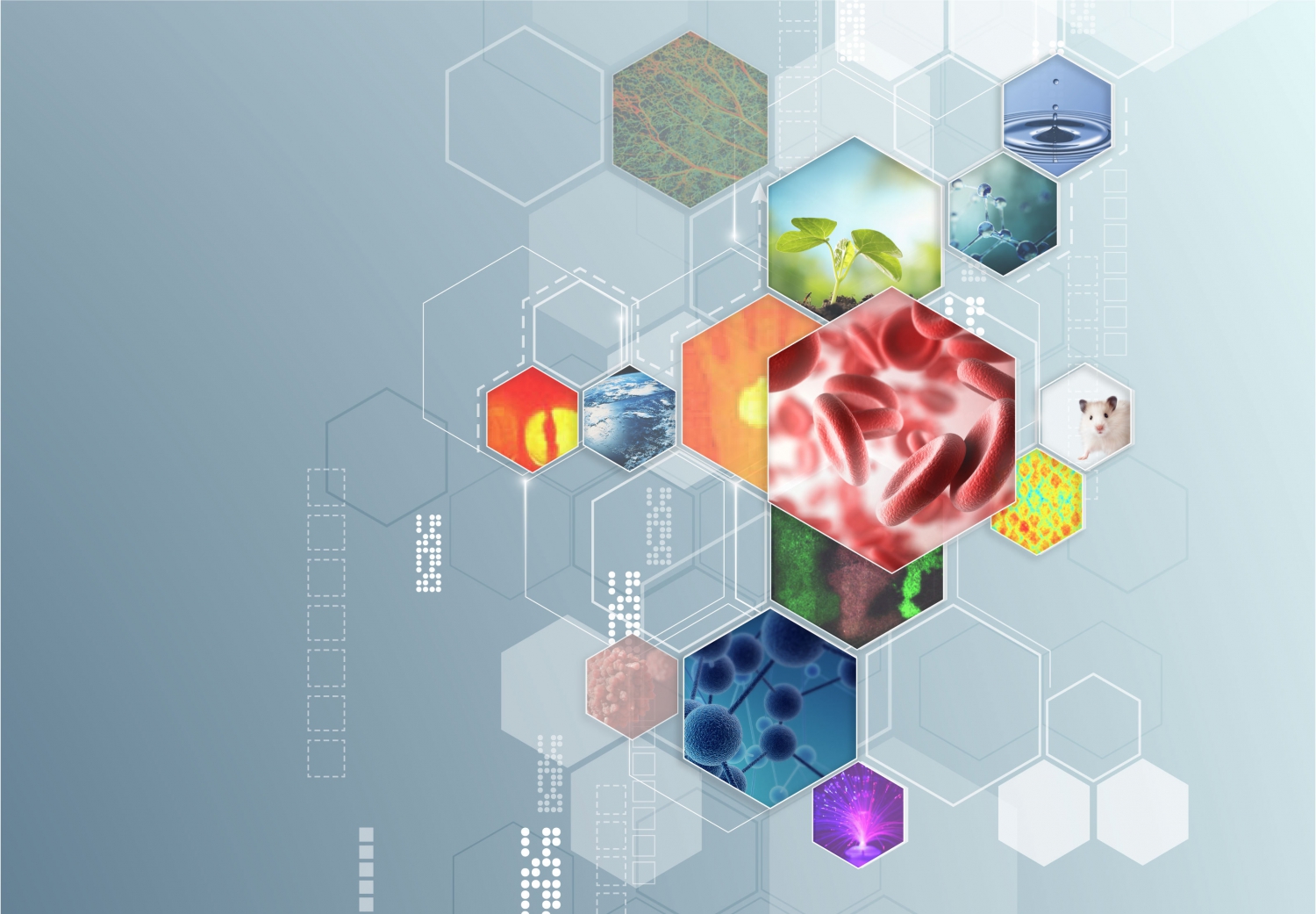 Tunable Lasers | Tunable Laser System | Opotek Lasers